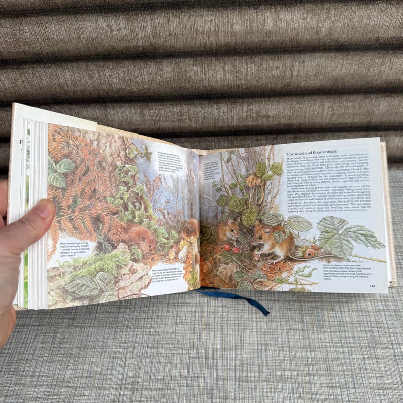 Field Guide to the Animals of Britain | Reader's Digest Nature Lover's ...