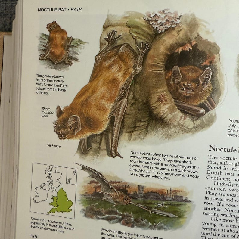 1989 Edition Field Guide to the Animals of Britain | Reader's Digest ...
