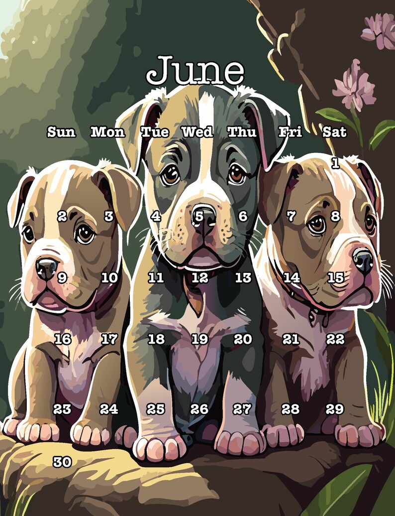 Loveable Pitties 2024 Calendar - Etsy