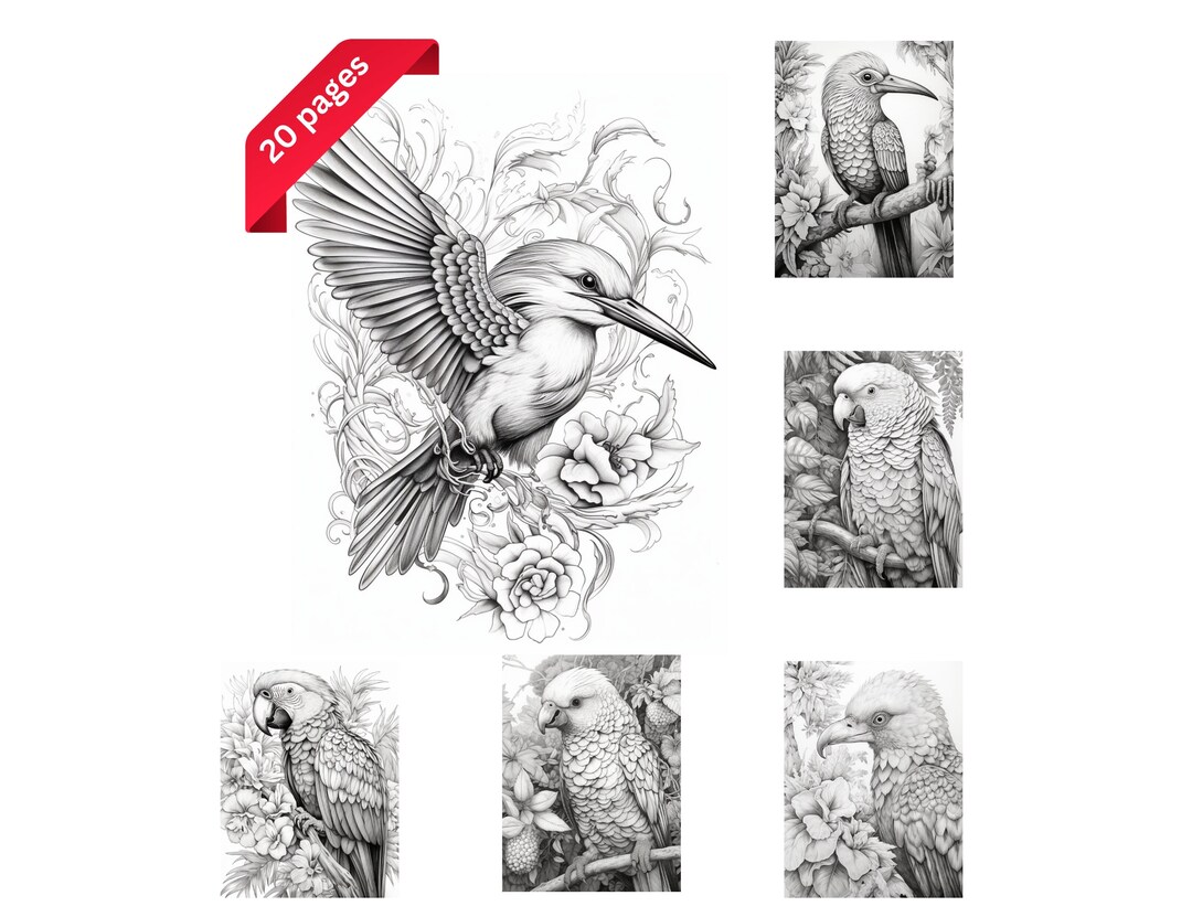 20 Birds Coloring Book, Adults Kids Coloring Pages, Instant Download ...