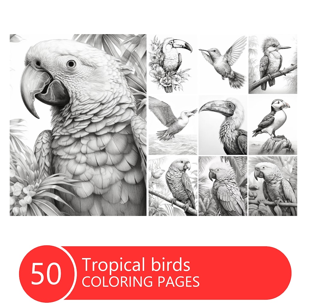Tropical Birds Vol2 Coloring Book for Adults and Kids, Grayscale ...