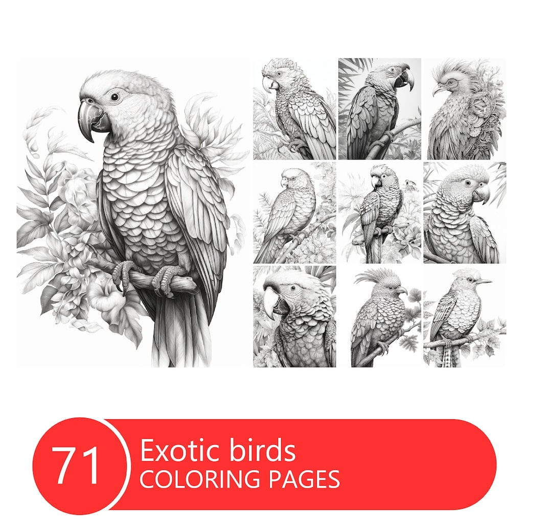 Exotic Birds Coloring Book for Adults and Kids, Grayscale Coloring ...