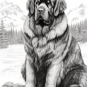 50+ Dogs Coloring Pages, Digital Download, Page Printable Coloring ...