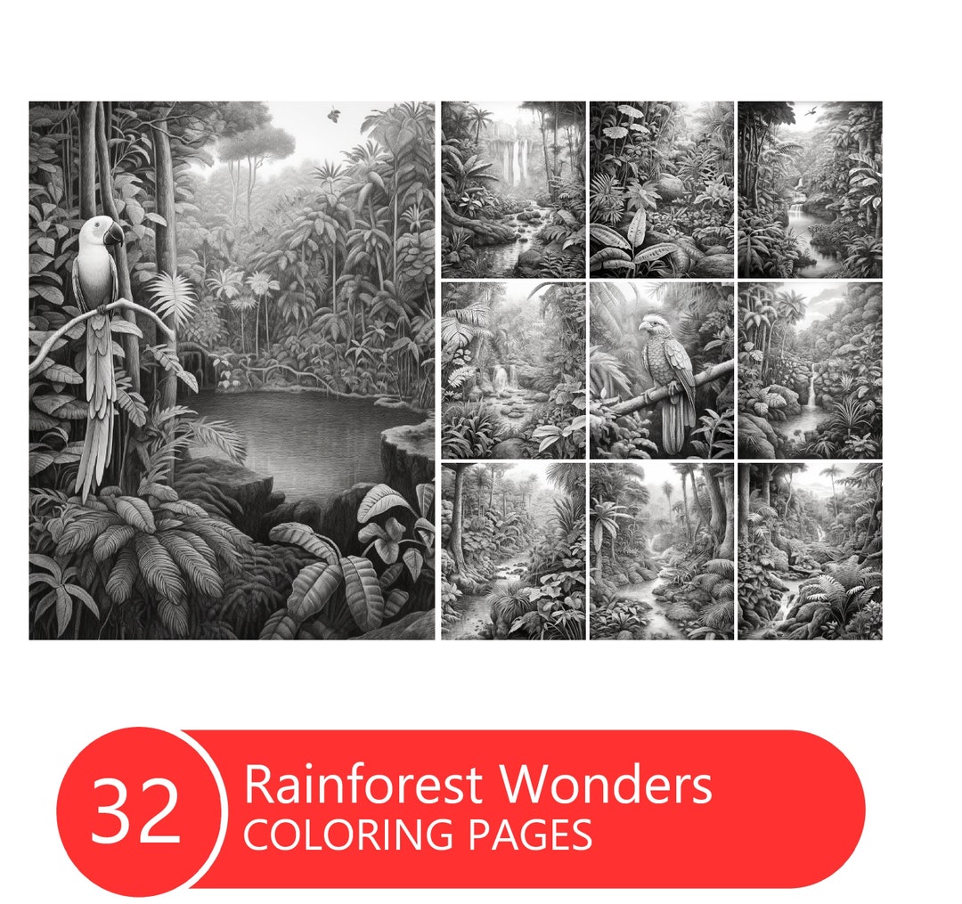 Rainforest Wonders Coloring Book for Adults and Kids, Grayscale ...
