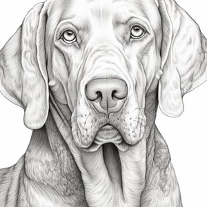 50+ Dogs Coloring Pages, Digital Download, Page Printable Coloring ...