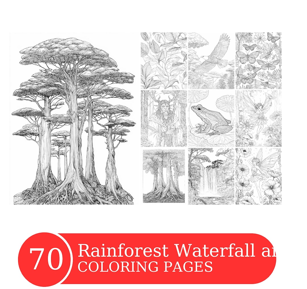 Rainforest Waterfall Coloring Book: 70 Grayscale Pages (printable PDF ...