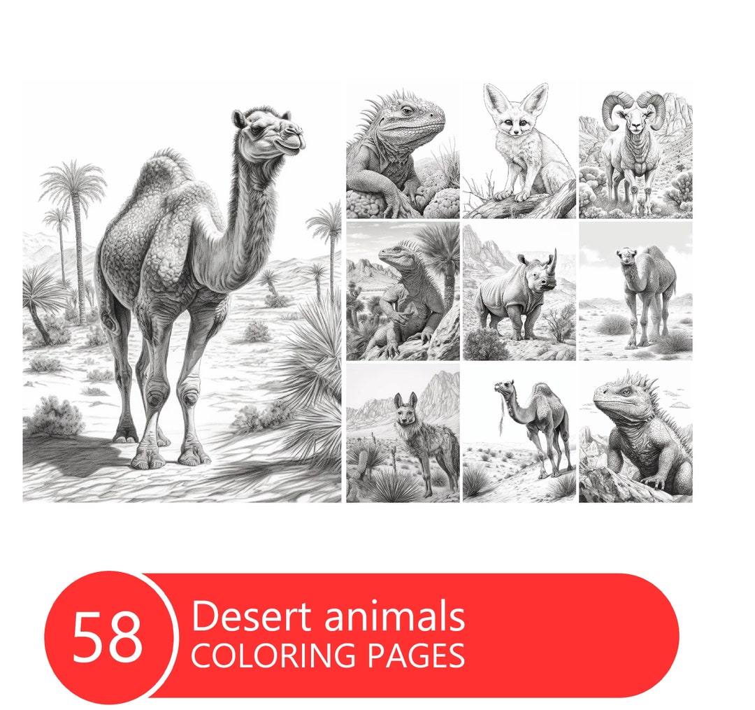 Desert Animals Coloring Book for Adults and Kids, Grayscale Coloring ...