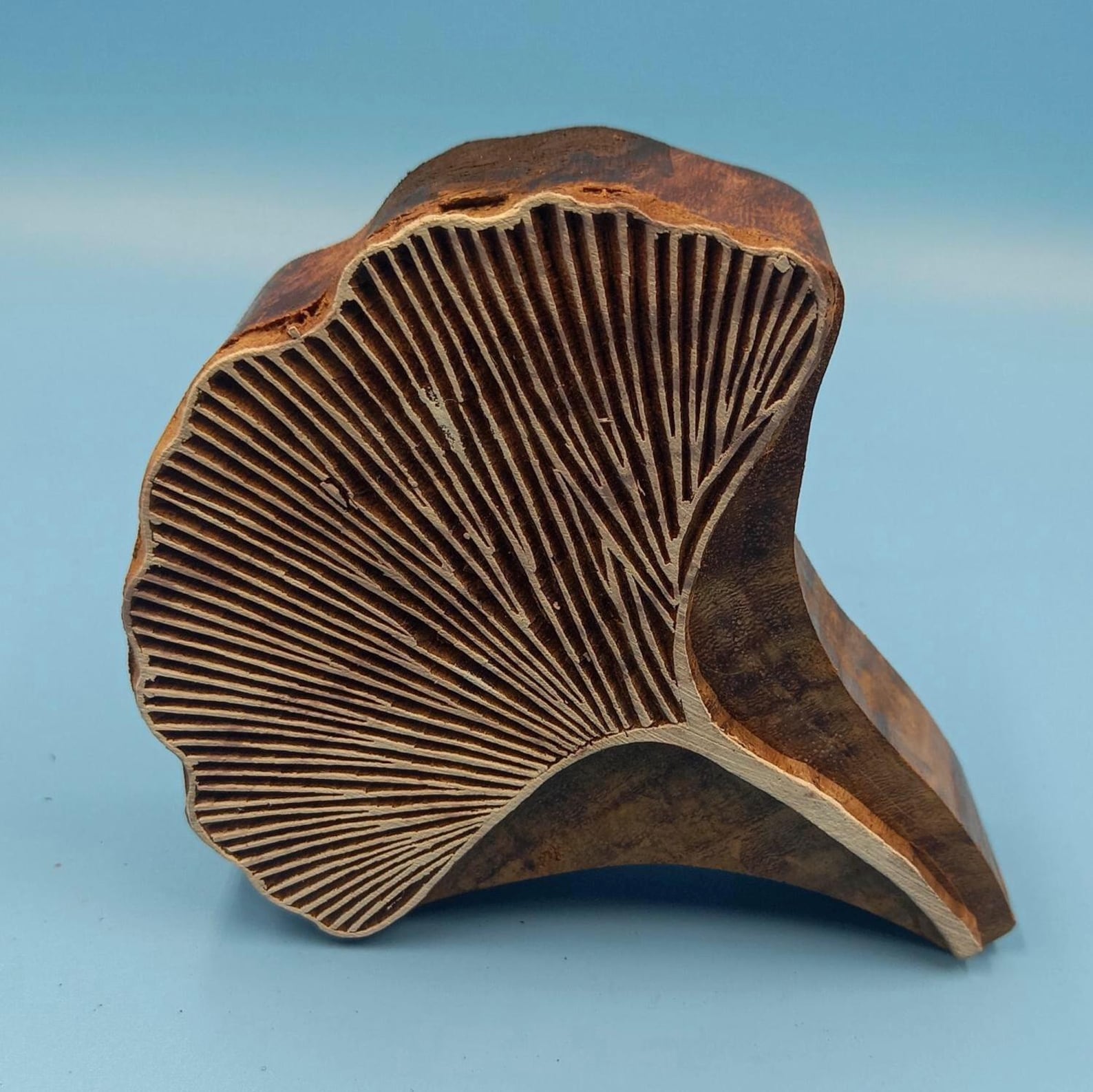 Fern Leaf Wooden Printing Block Pottery Stamp, Batik Tjaps, Blaudruck ...