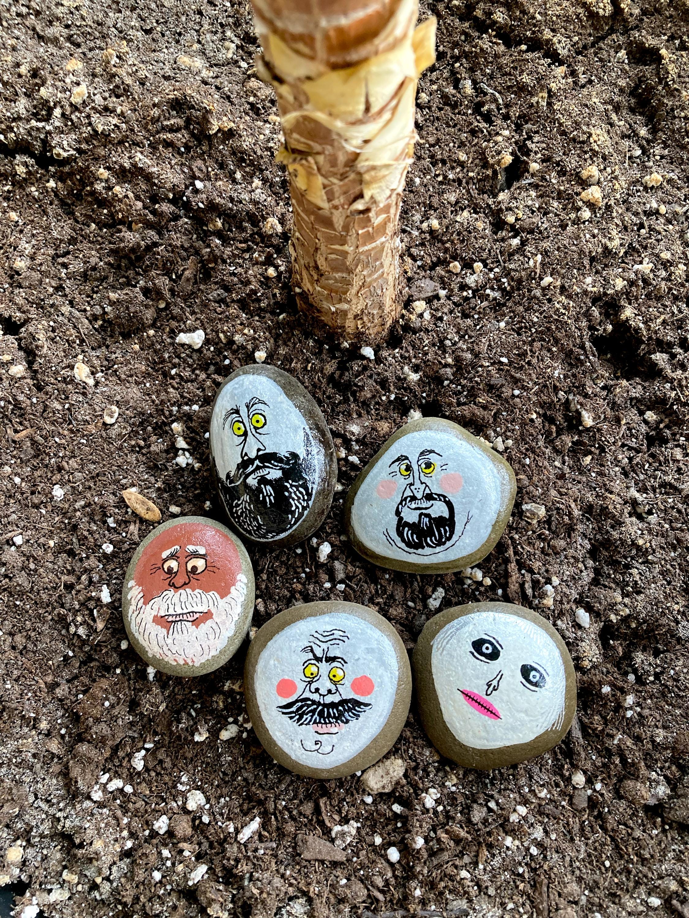 Set of Painted Rocks With Funny Faces | Silly Characters Hand-painted ...
