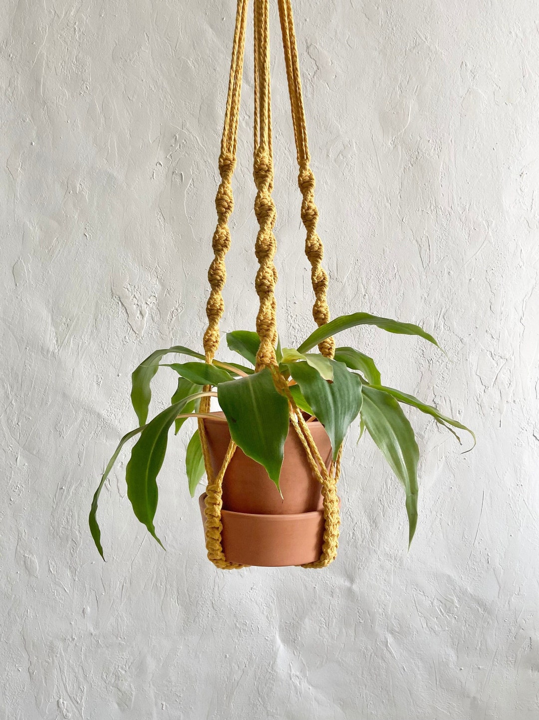 Macrame Plant Hanger Pattern, No Tassel Plant Holder DIY, Macrame Pot ...