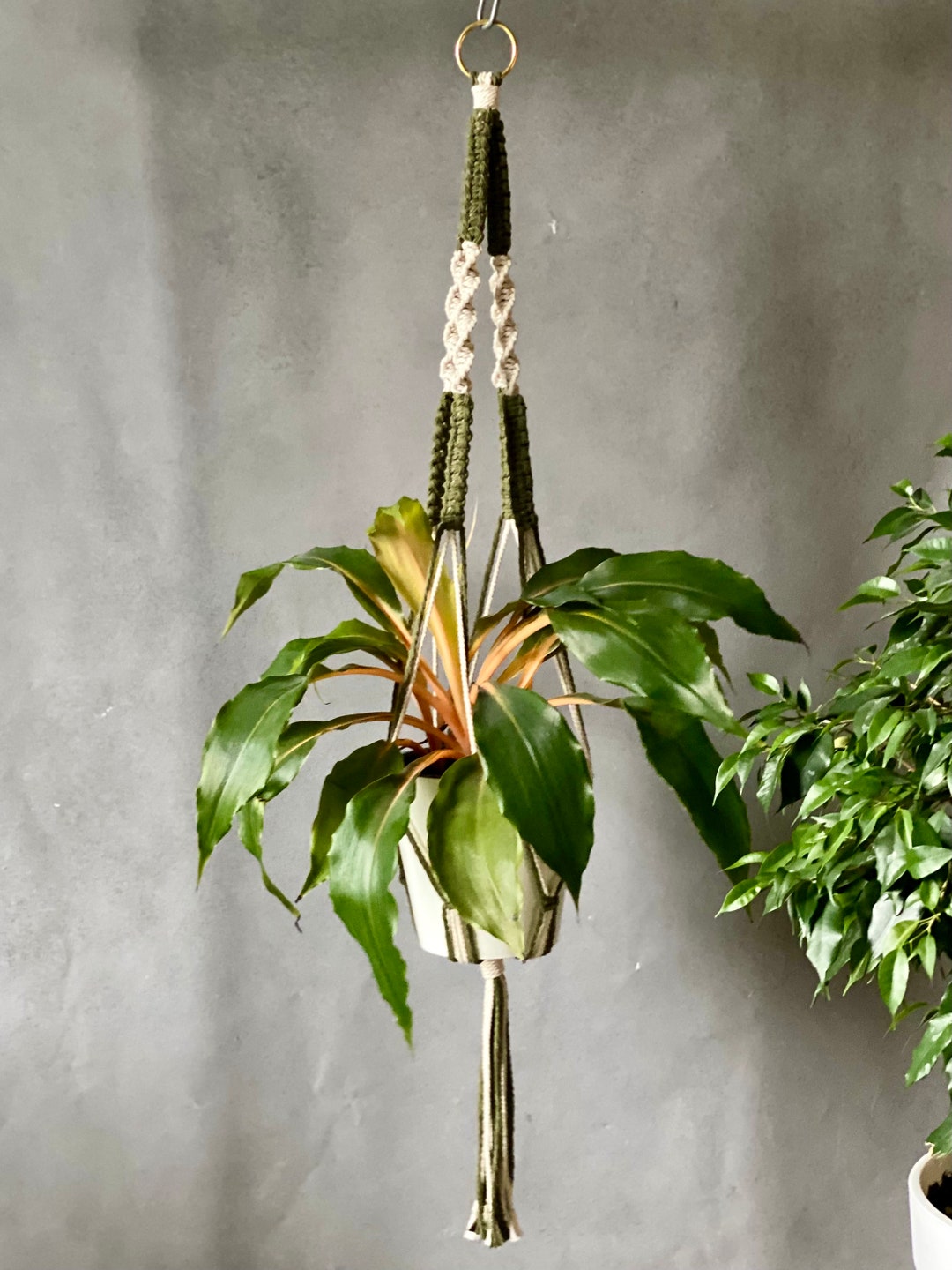 Colored Macrame Plant Hanger Pattern, Plant Hanger Easy Step by Step ...