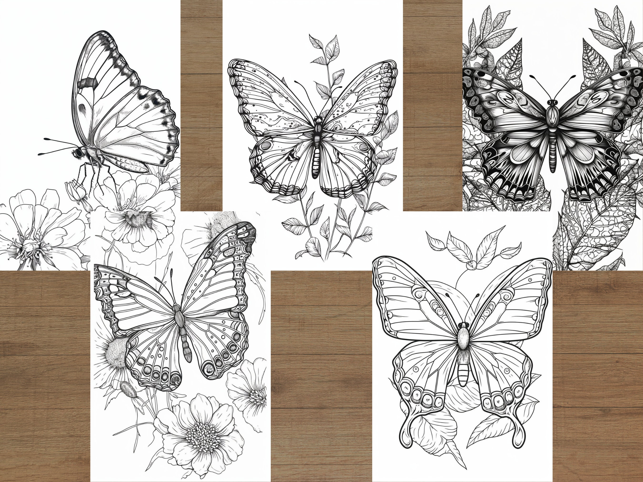 Butterfly Garden: A Coloring Book for Adults Featuring - Etsy