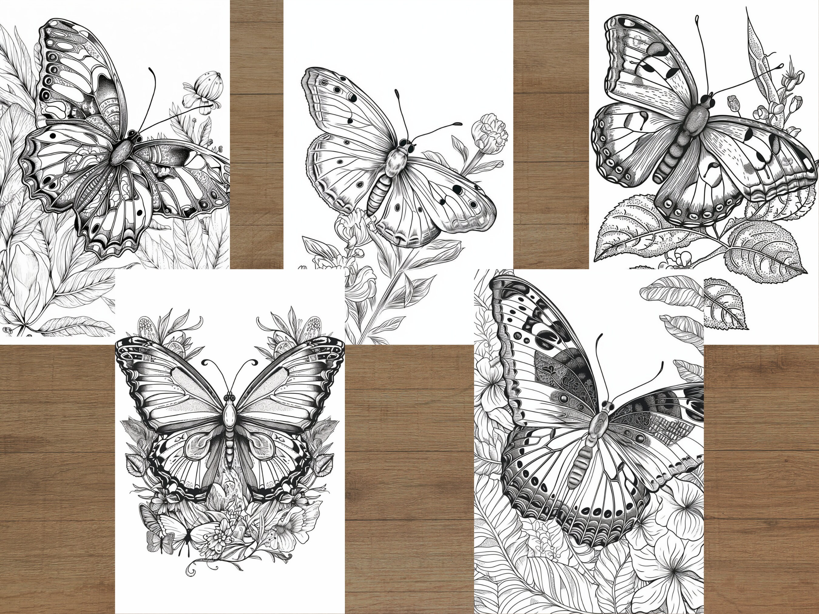 Butterfly Garden: A Coloring Book for Adults Featuring - Etsy