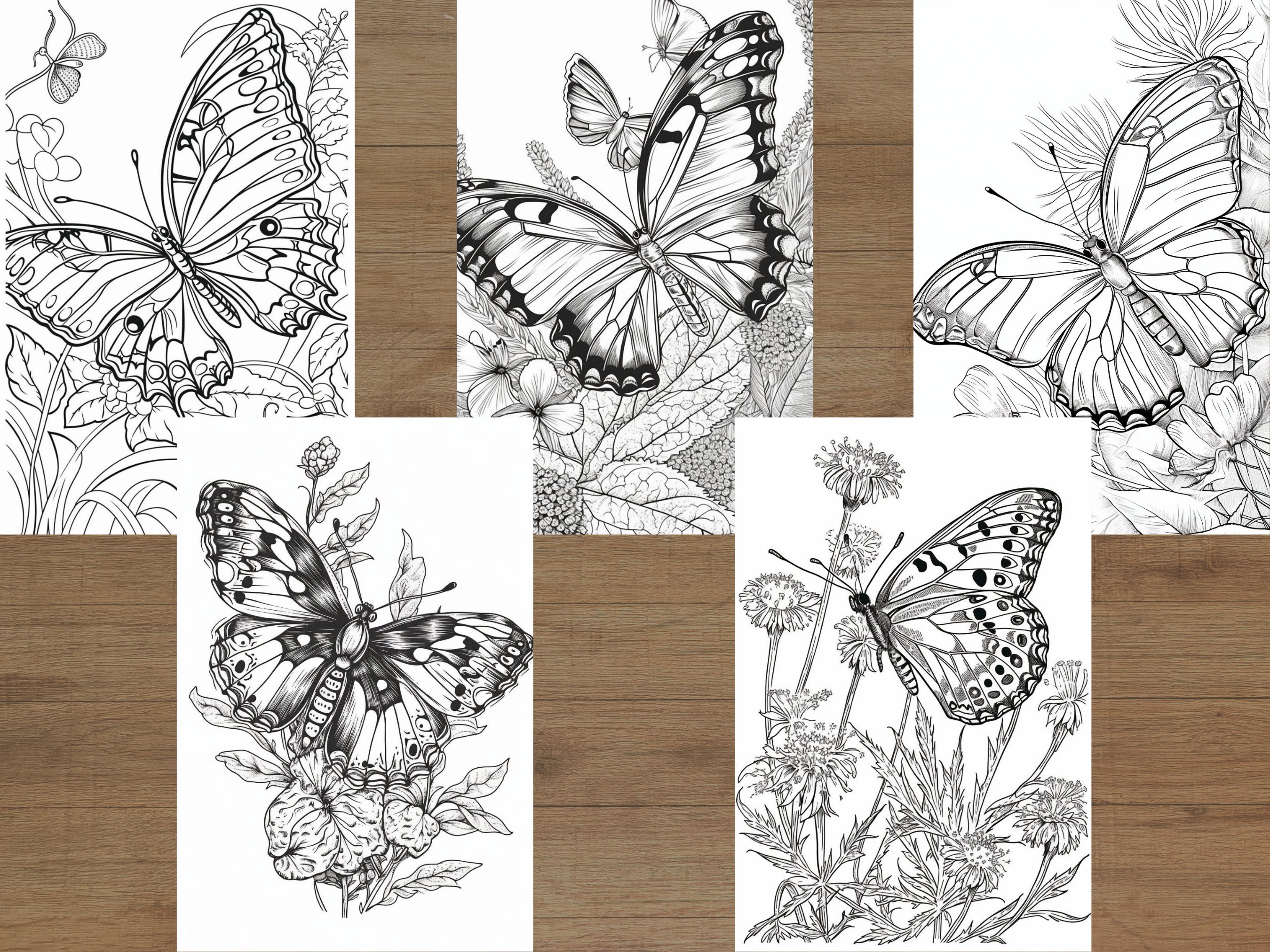 Butterfly Garden: A Coloring Book for Adults Featuring - Etsy