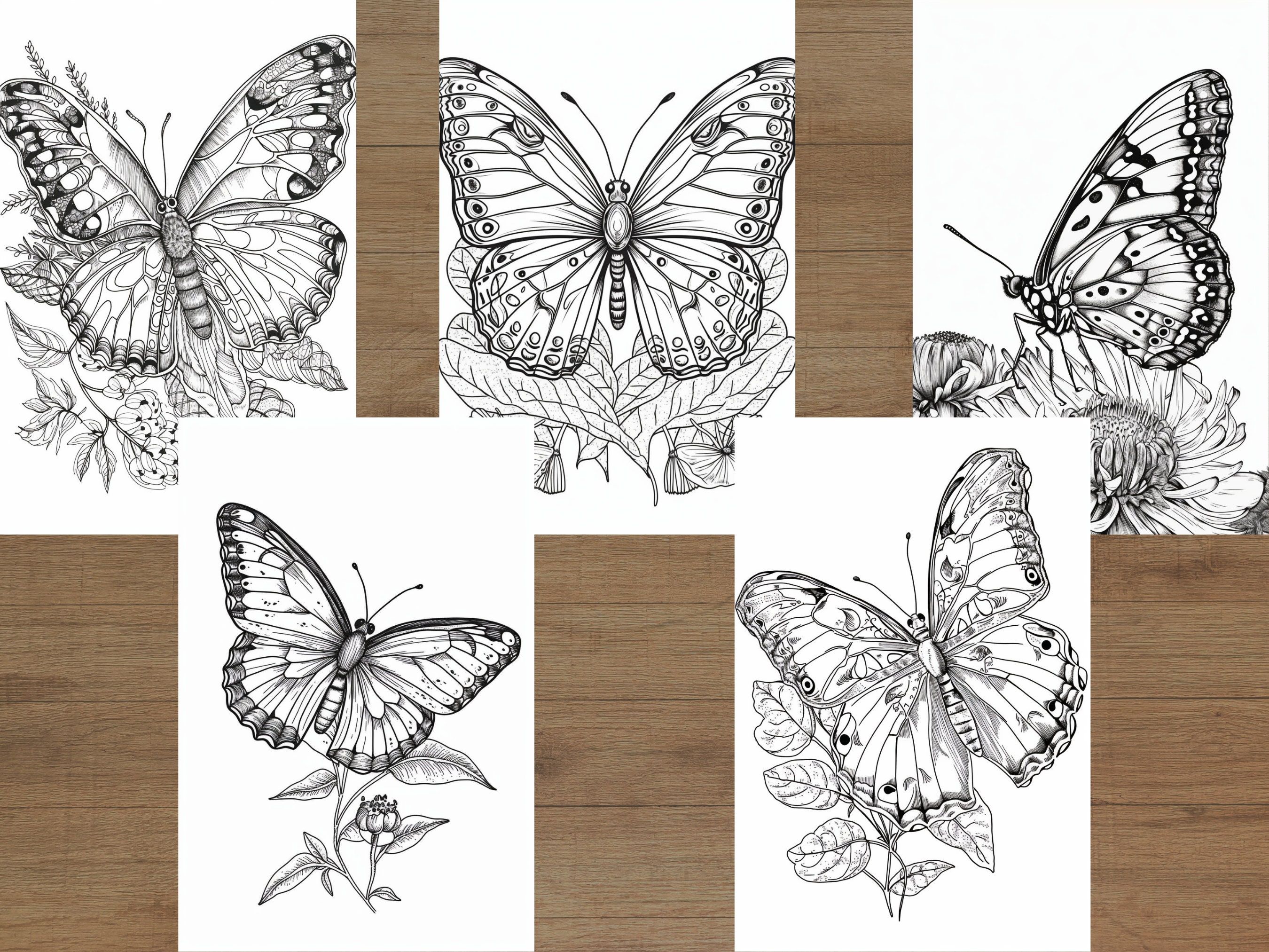 Butterfly Garden: A Coloring Book for Adults Featuring - Etsy