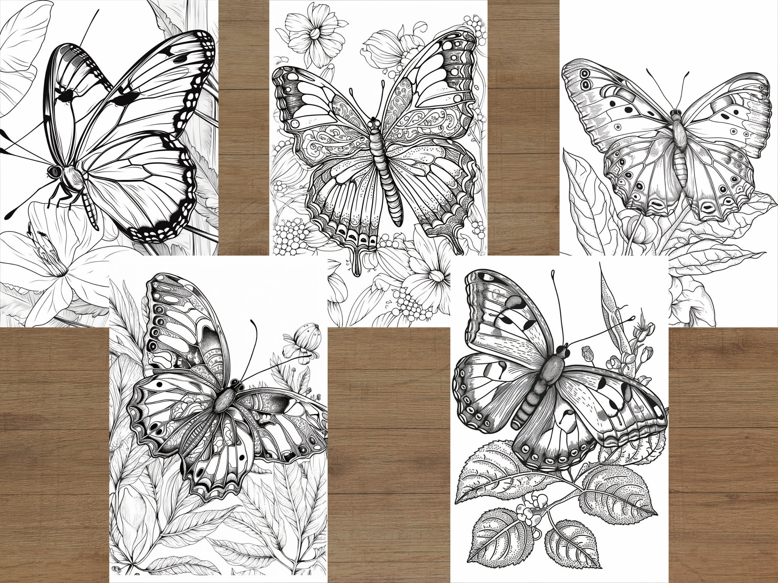 Butterfly Garden: A Coloring Book for Adults Featuring - Etsy