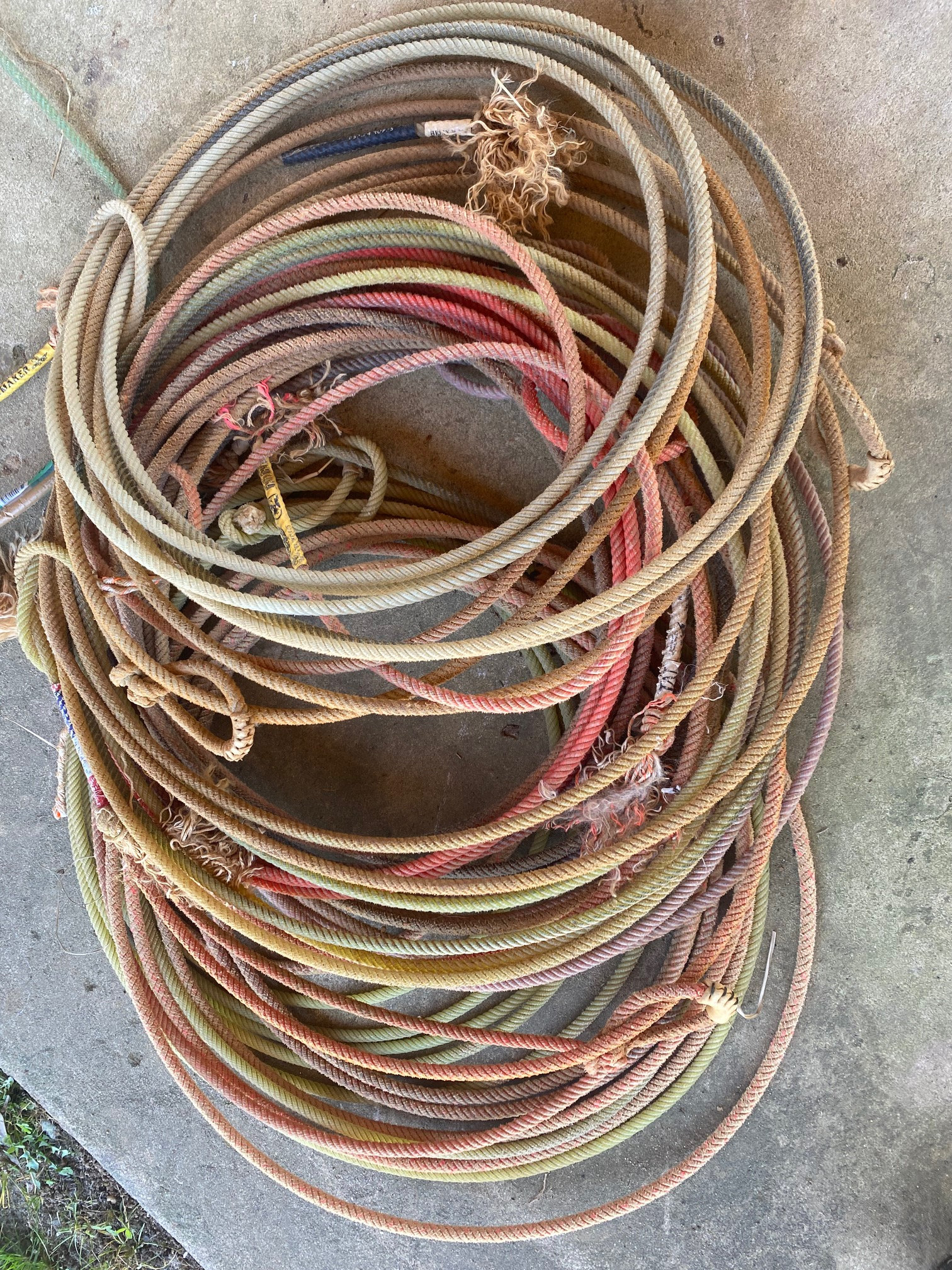 Authentic Cowboy Ropes - Etsy
