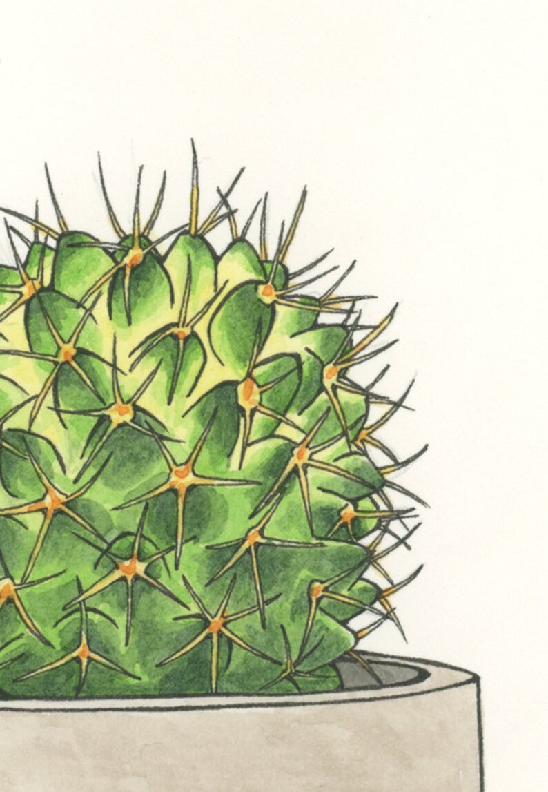 Round Cactus Houseplant Fine Art Print - Etsy