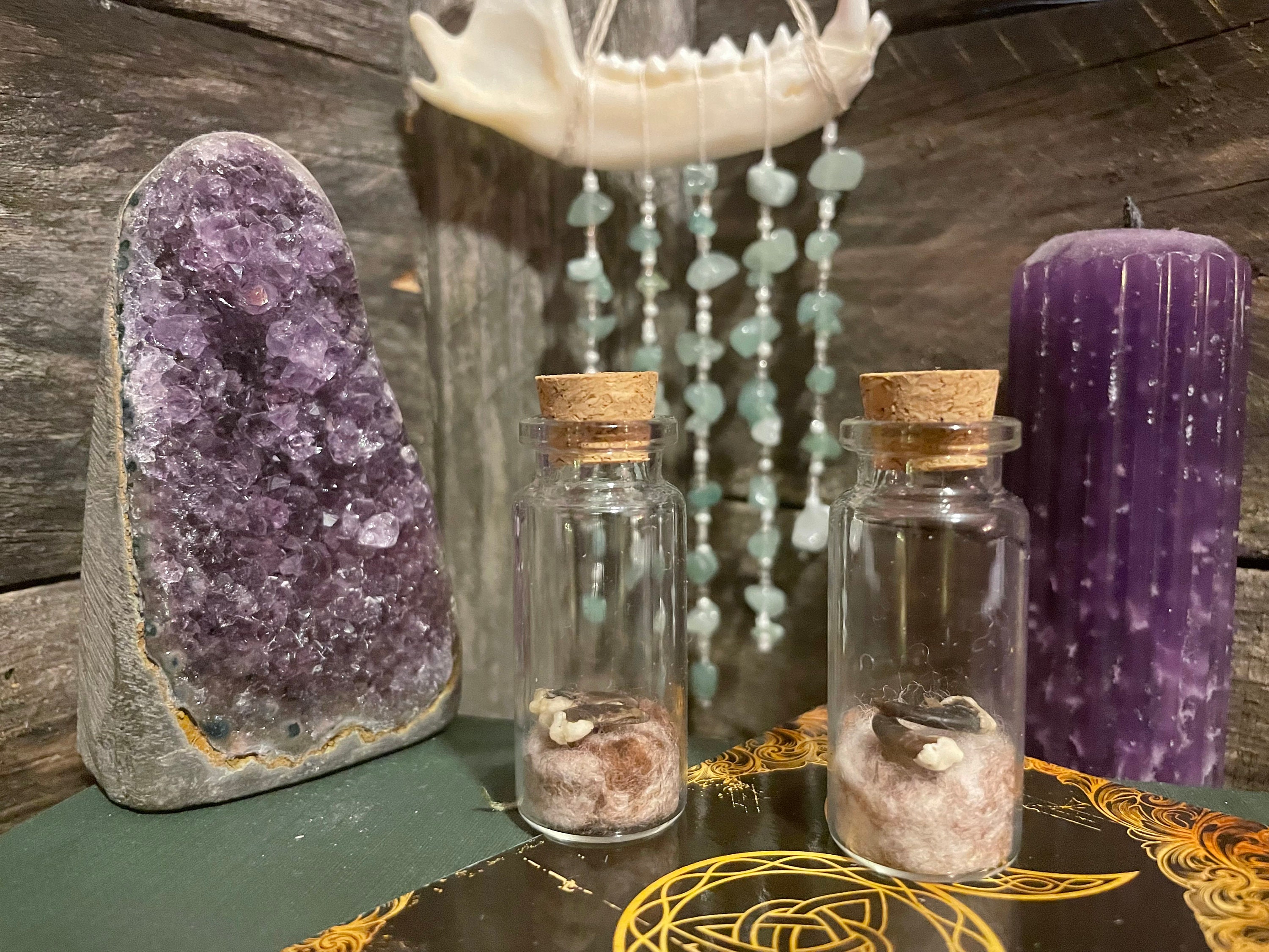 Raccoon Claw Curio Jar Curiosities Handmade Curio Cabinet Bones ...