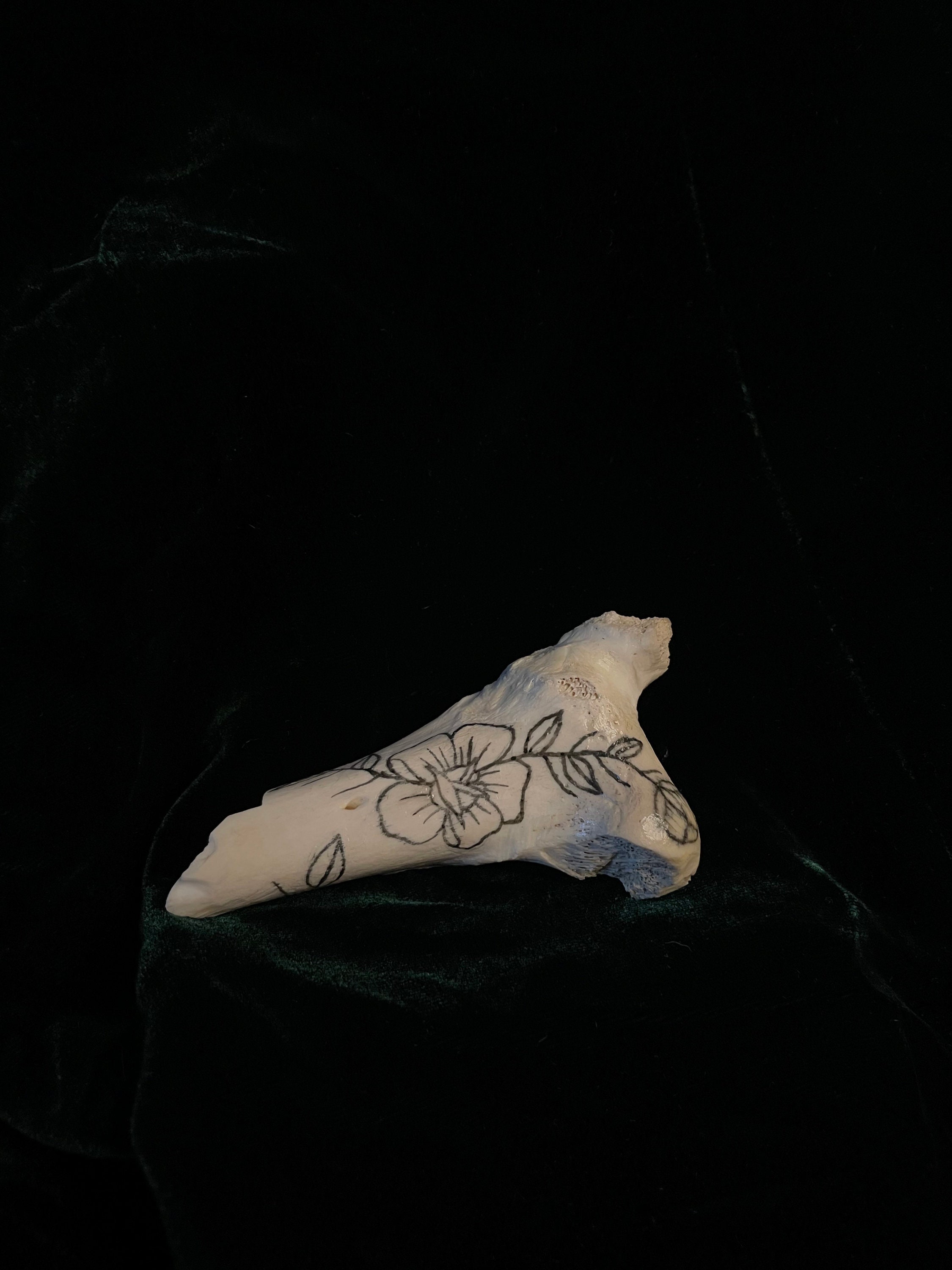 Hand Painted Deer Bone Fragment Bones & Skulls Deer Bone Painted Bones ...