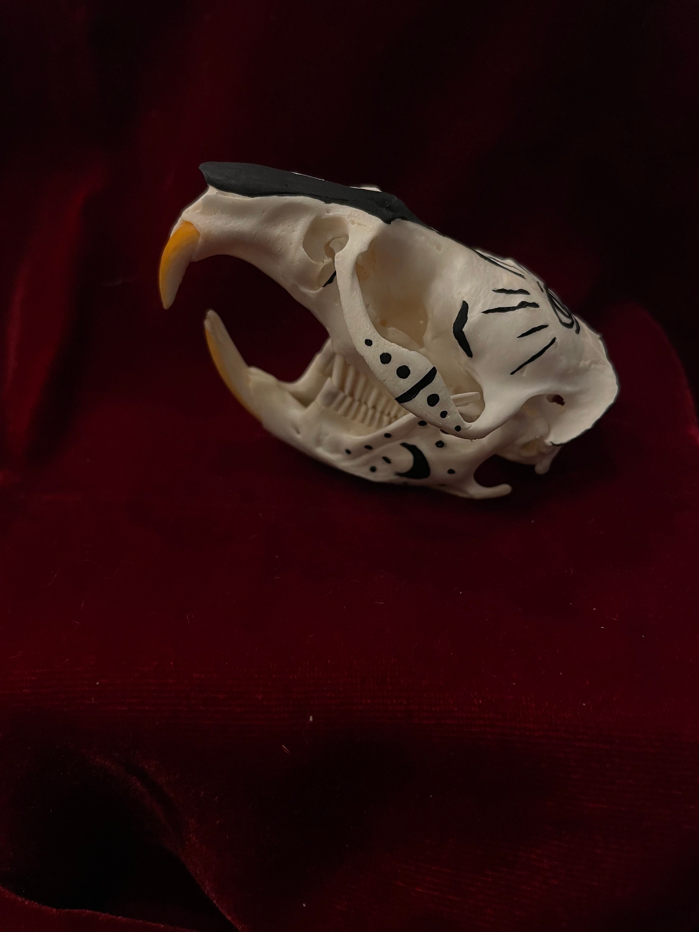 Hand Painted Muskrat Skull With Eye and Sun and Moon Bones and Skulls ...