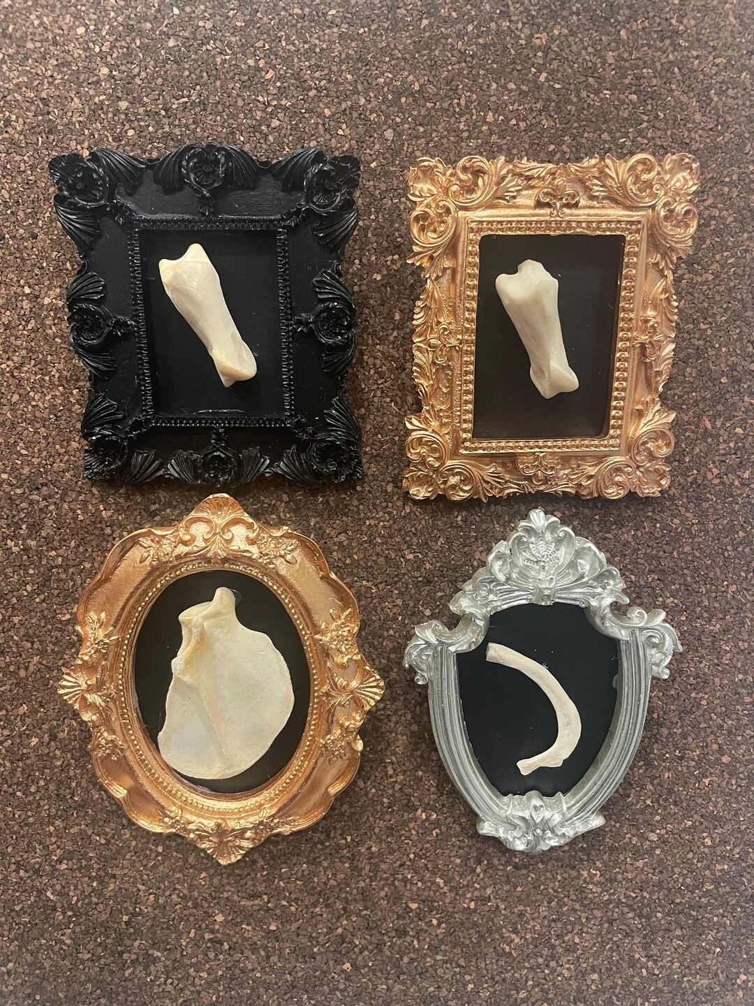 Small Victorian Bone Frames Bones and Skulls Small Bones - Etsy