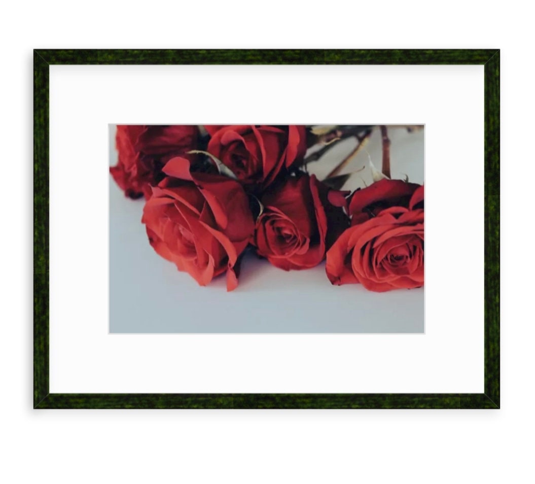 Red Roses No.1 | Digital Download Art Print - Etsy