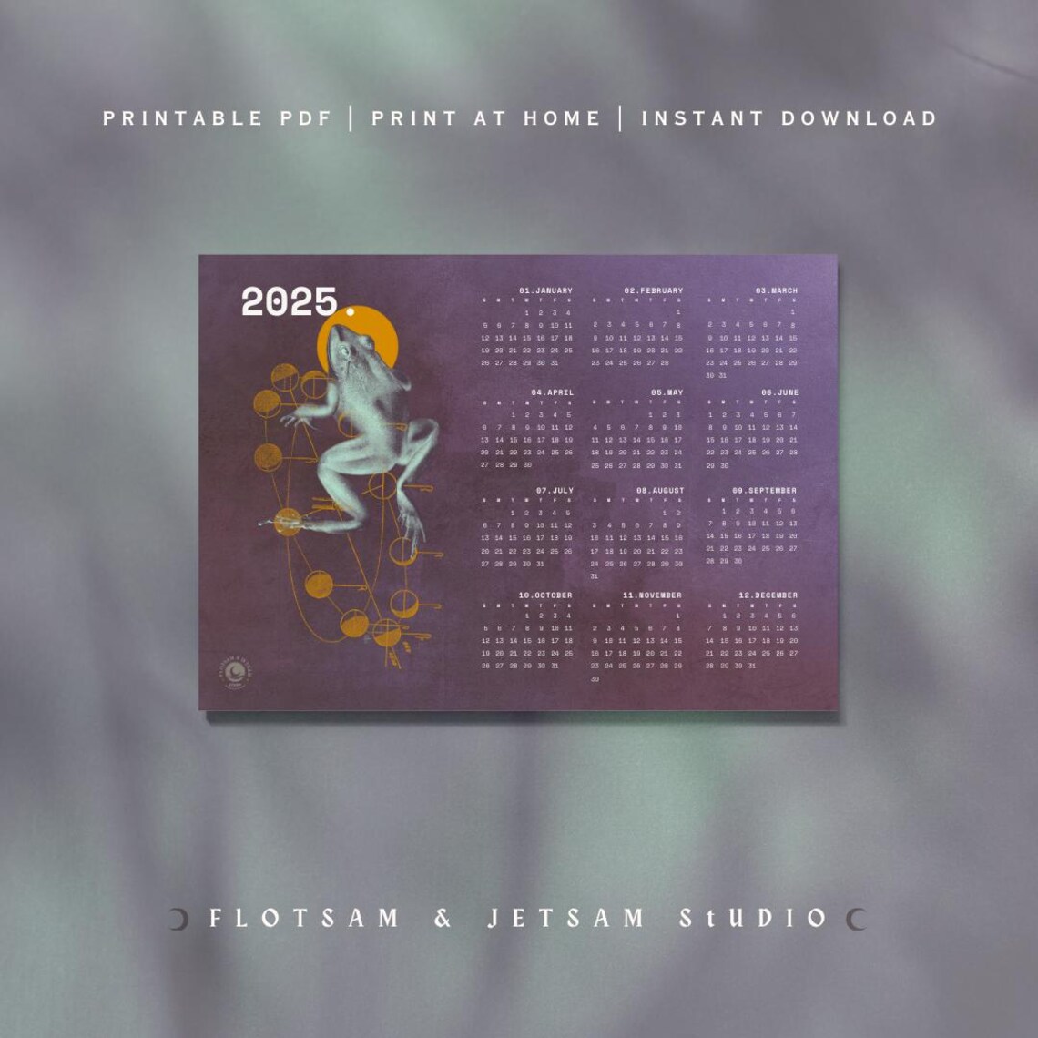 Printable 2025 Year at a Glance Calendar | Frog Graphic Minimal Design ...