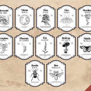 Printable Apothecary Label Set for Halloween | 3.78 X 5.23 Inches ...