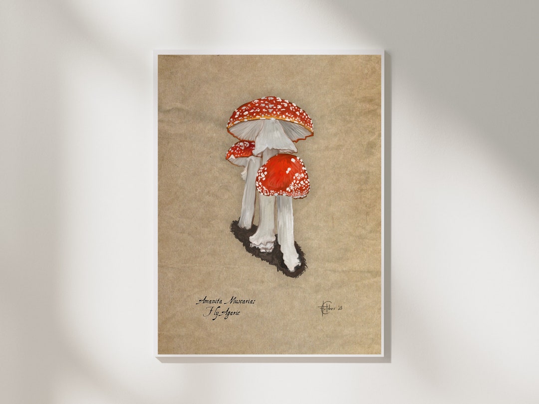 Printable Vintage Style Botanical Wall Art Amanita Muscaria Fly Agaric