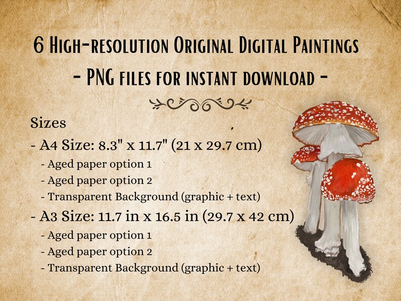 Printable Vintage Style Botanical Wall Art Amanita Muscaria Fly Agaric