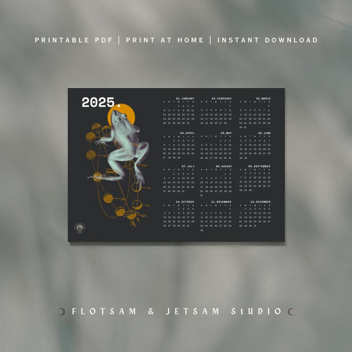 Printable 2025 Year at a Glance Calendar Frog Graphic Minimal Design ...