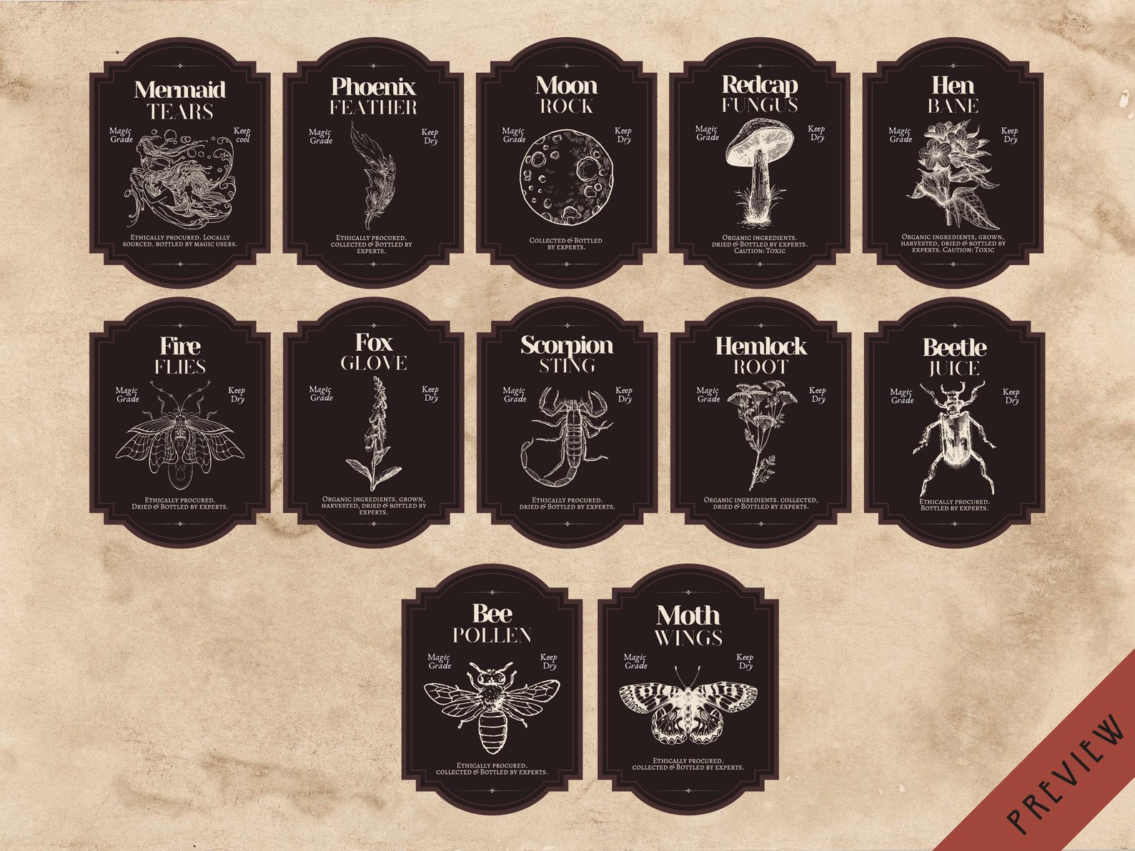 Printable Halloween Apothecary Label Set: Magic & Potions (digital ...