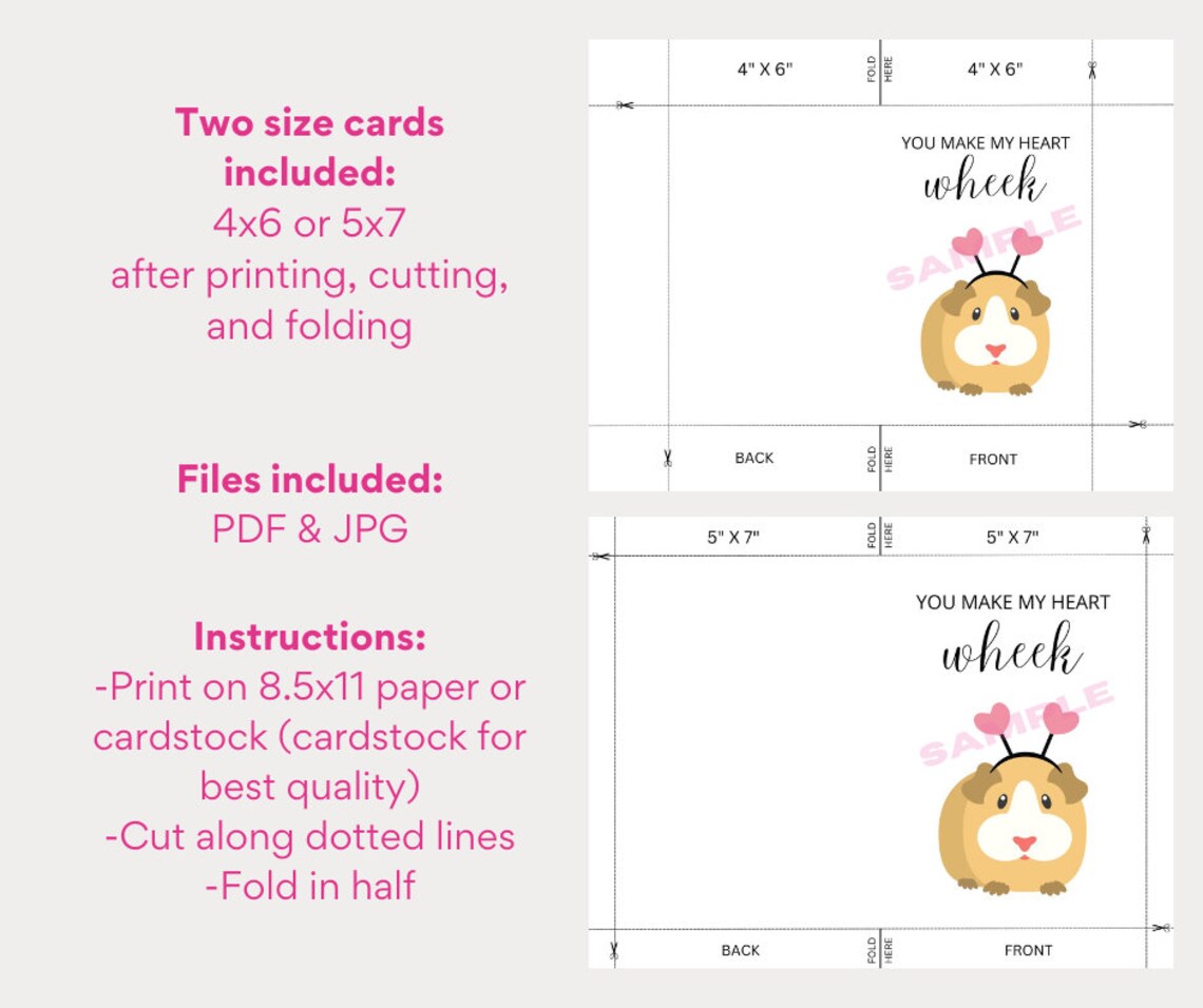 Guinea Pig Valentine's Day Card Guinea Pig Card Valentine's Day ...