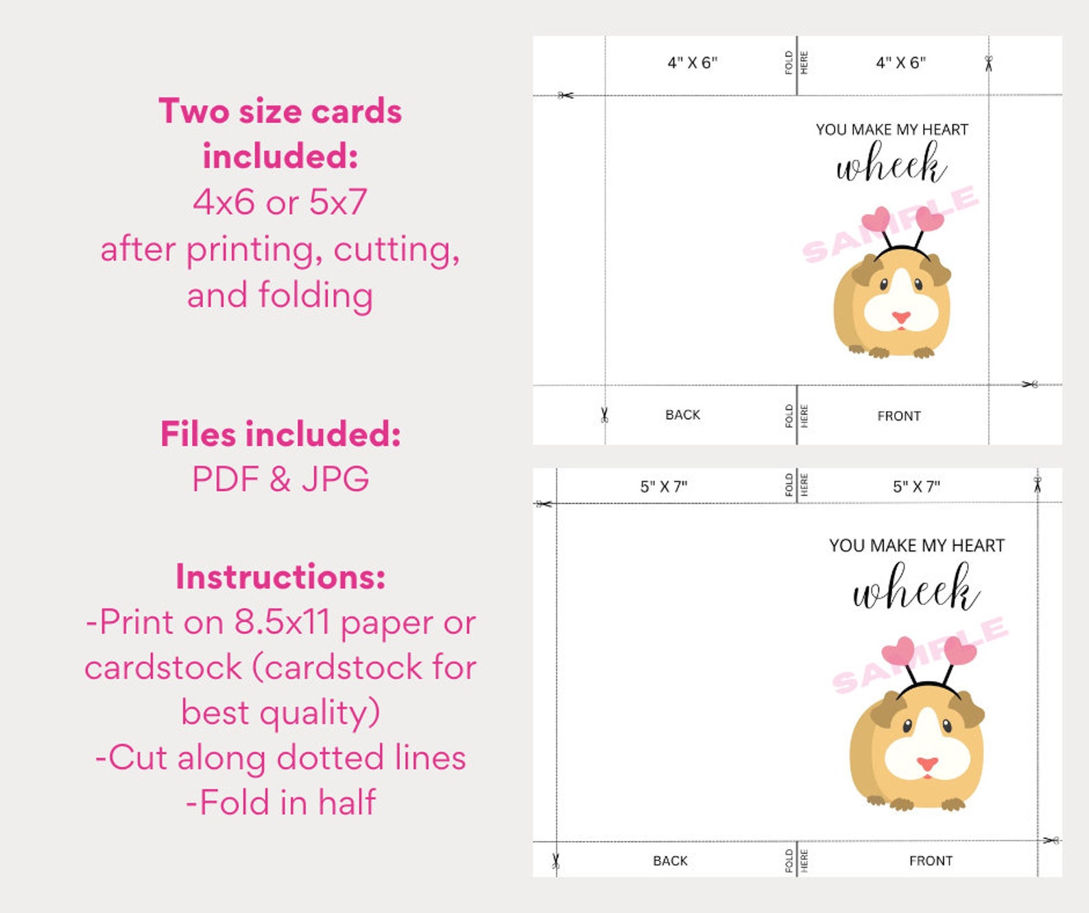 Guinea Pig Valentine's Day Card Guinea Pig Card Valentine's Day ...