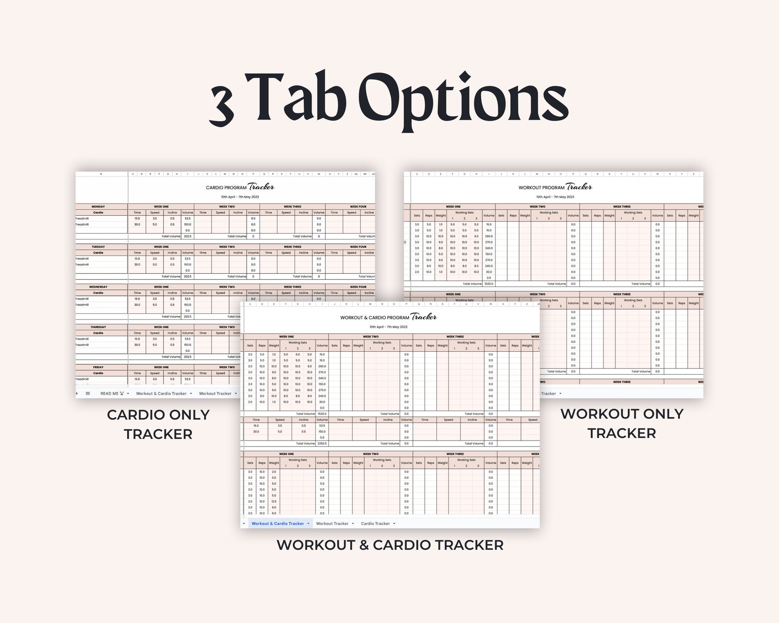 Workout & Cardio Program Tracker Spreadsheet for Google Sheets ...