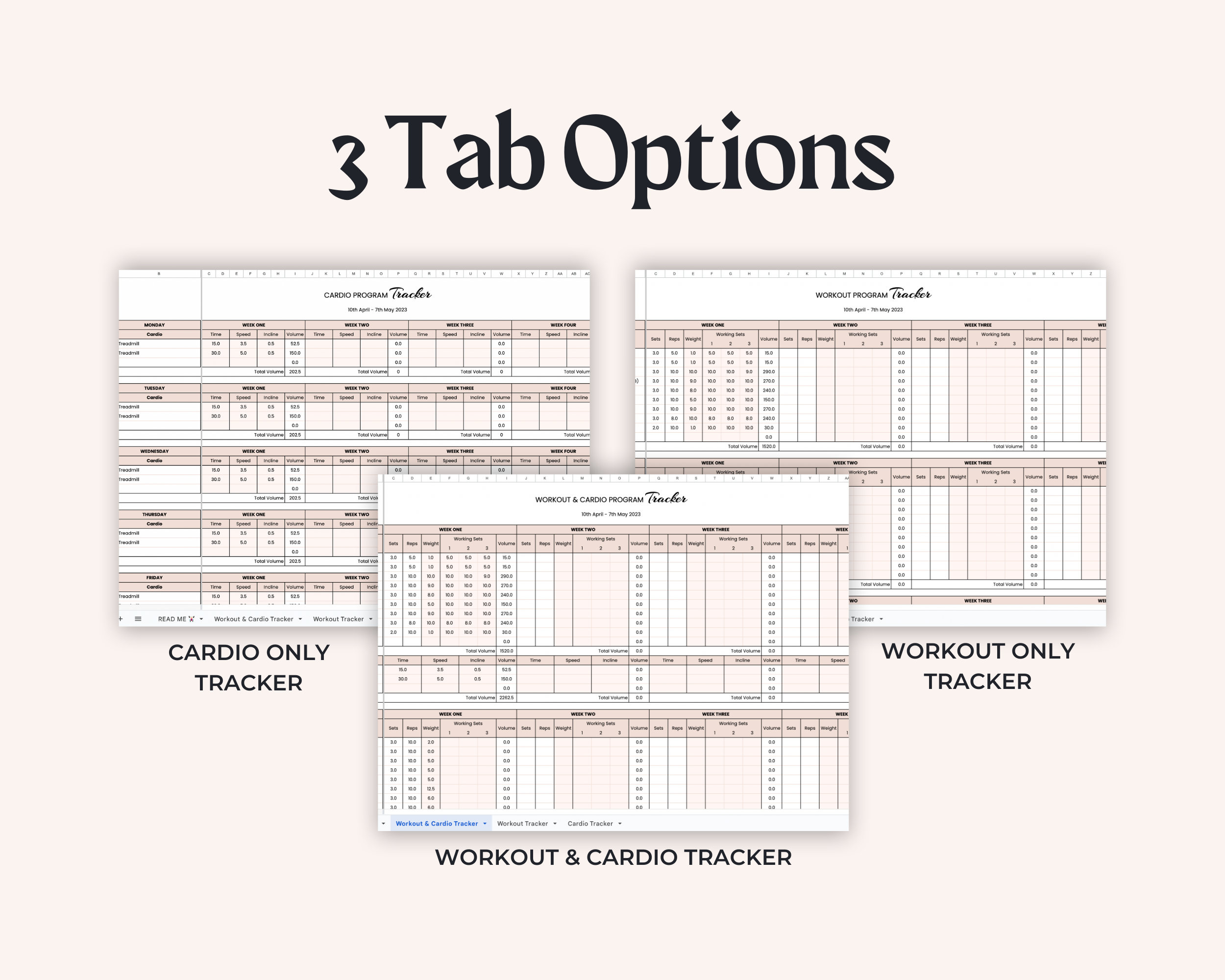 Workout & Cardio Program Tracker Spreadsheet for Google Sheets ...
