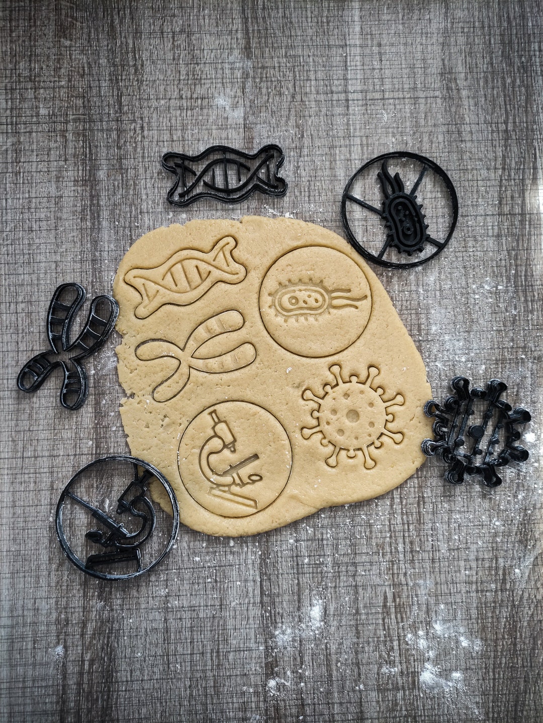 Biology Cookie Cutter Set DNA, Chromosome, Virus, Bacterium, Microscope ...