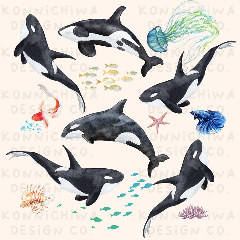 Orcas Ocean Conservation PNG Aesthetic Y2K Save the Whales Environment ...