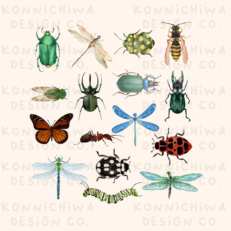 Watercolor Entomology PNG Bugs Beetles Butterflies Bees Aesthetic Y2K ...