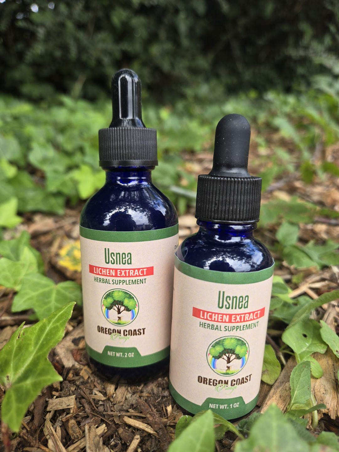 Usnea Lichen Tincture Double Extract - Etsy