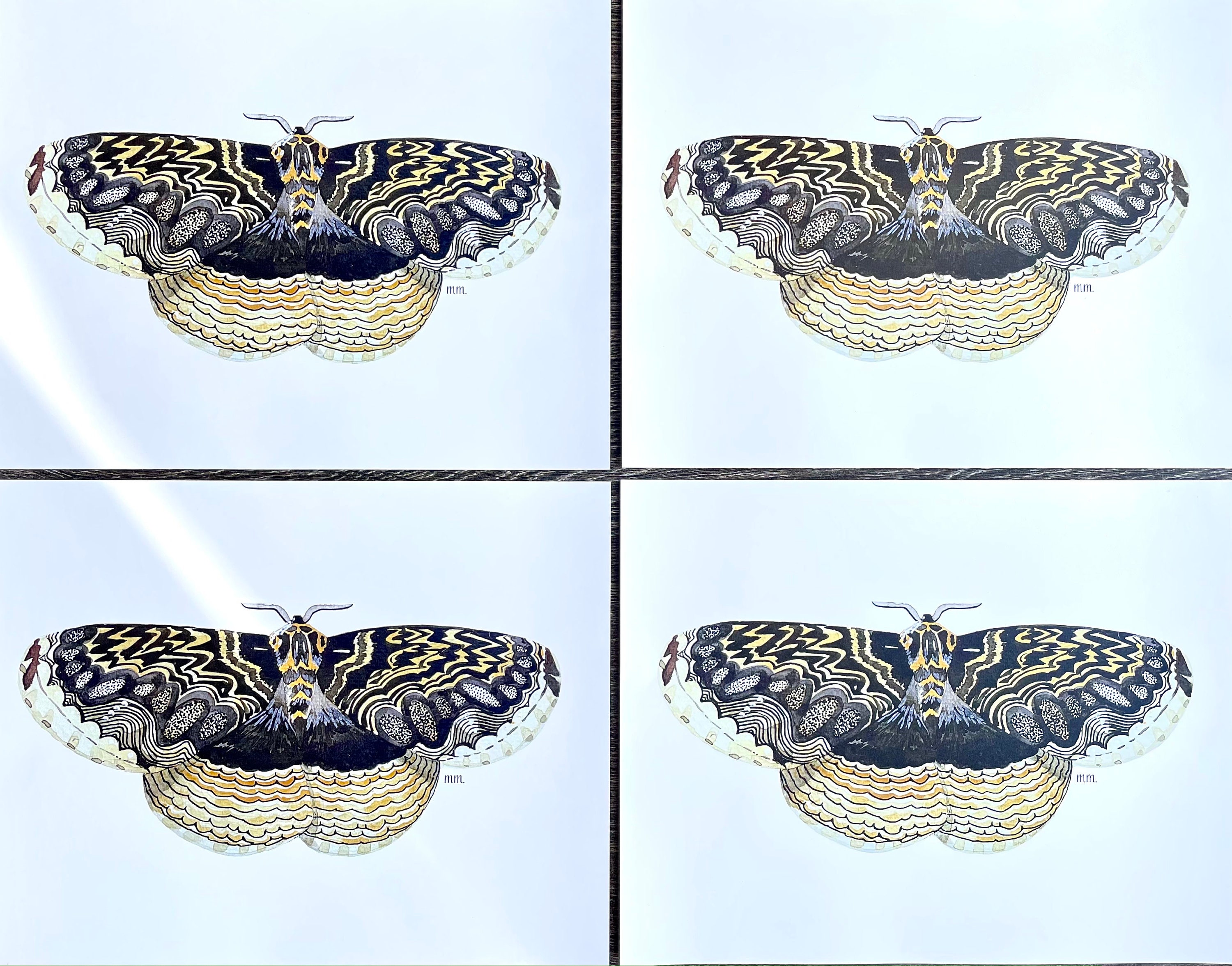 Black and Gold Owl Moth Watercolour Art Print | 8x11 Moth Print | Moths ...