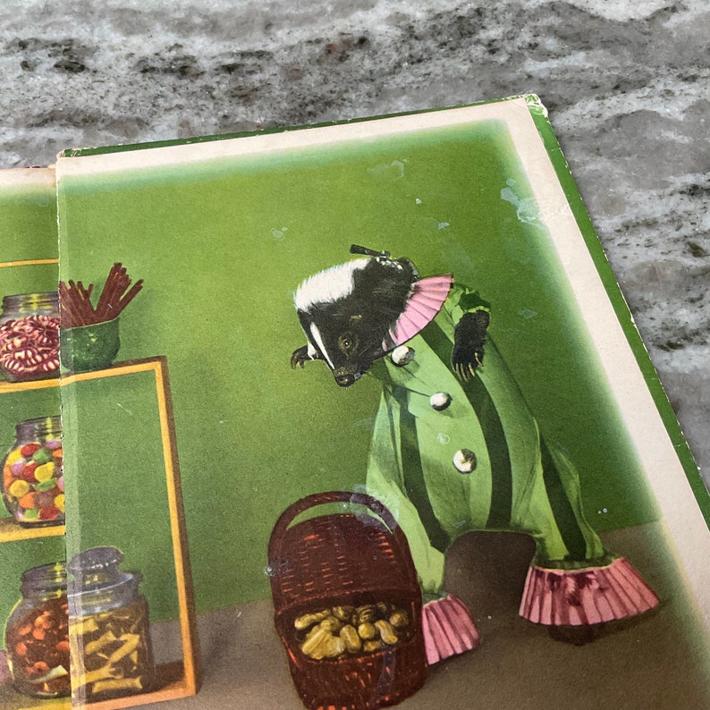 Squiffy the Skunk by Grace Neff Brett | Photographs by George Neff Rand ...