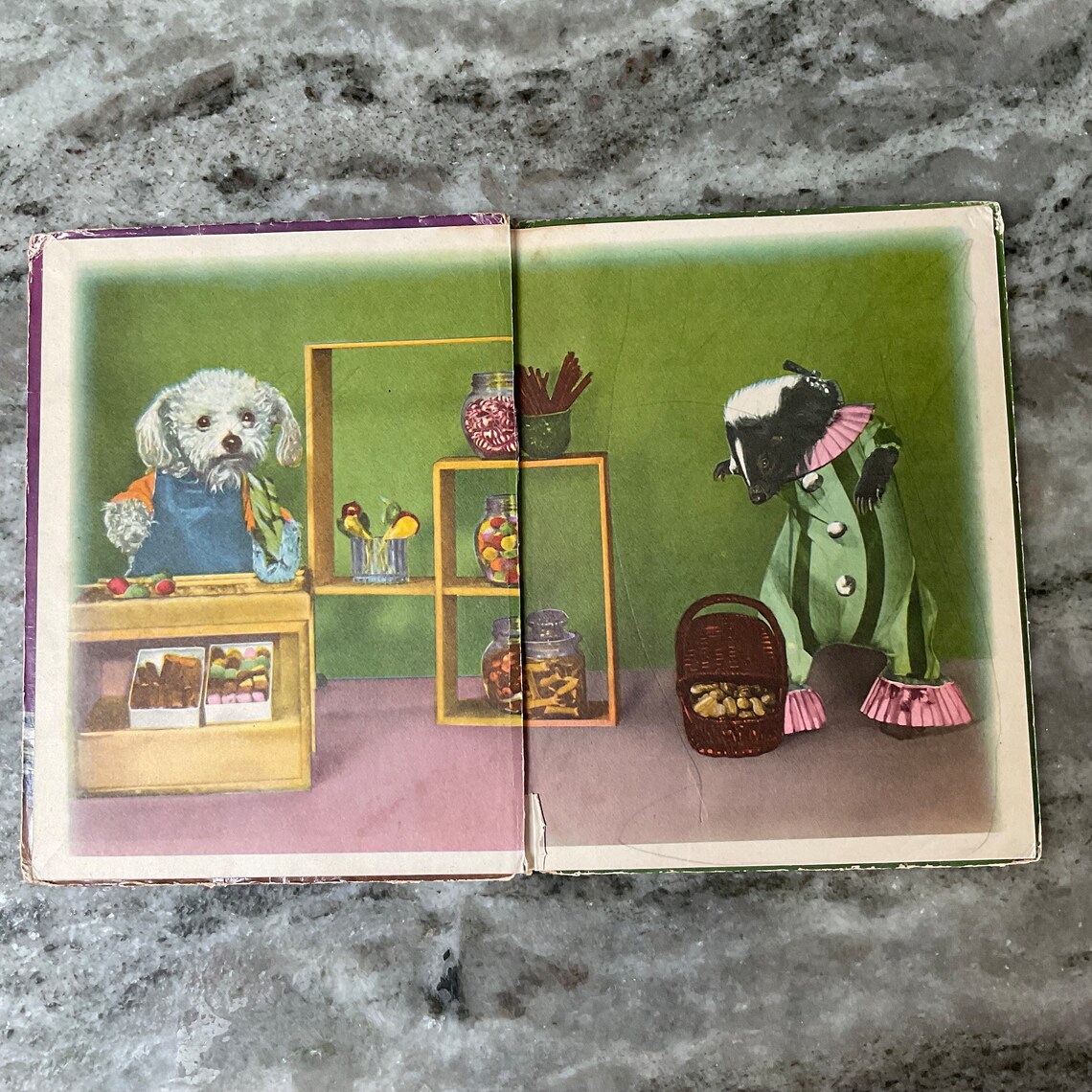Squiffy the Skunk by Grace Neff Brett | Photographs by George Neff Rand ...