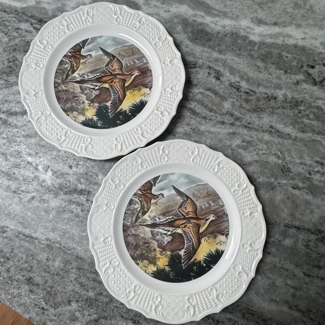 Vintage Plates Called "mourning Doves" by Wildlife Artist Charles Defeo ...