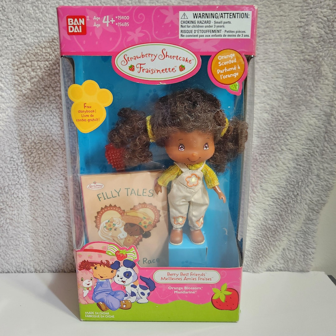 Strawberry Shortcake Orange Blossom Berry Best Friends Doll and Book ...