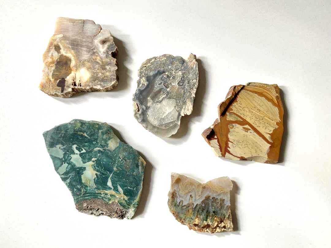 PNW Slabs Rough Lot, Hava Ridge Jasper, Owyhee Picture Jasper, Prudent ...
