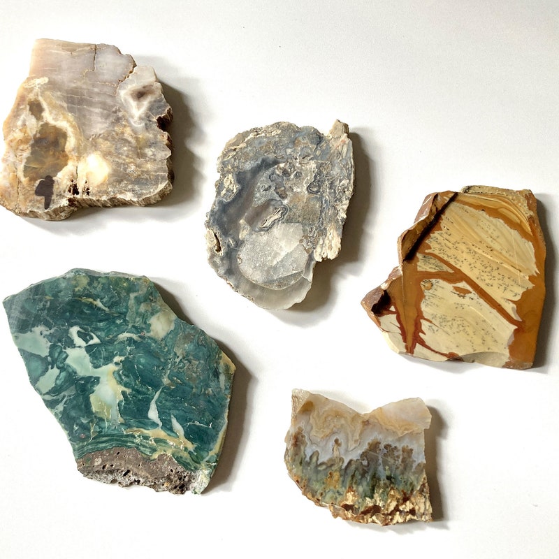 Owyhee Picture Jasper - Etsy