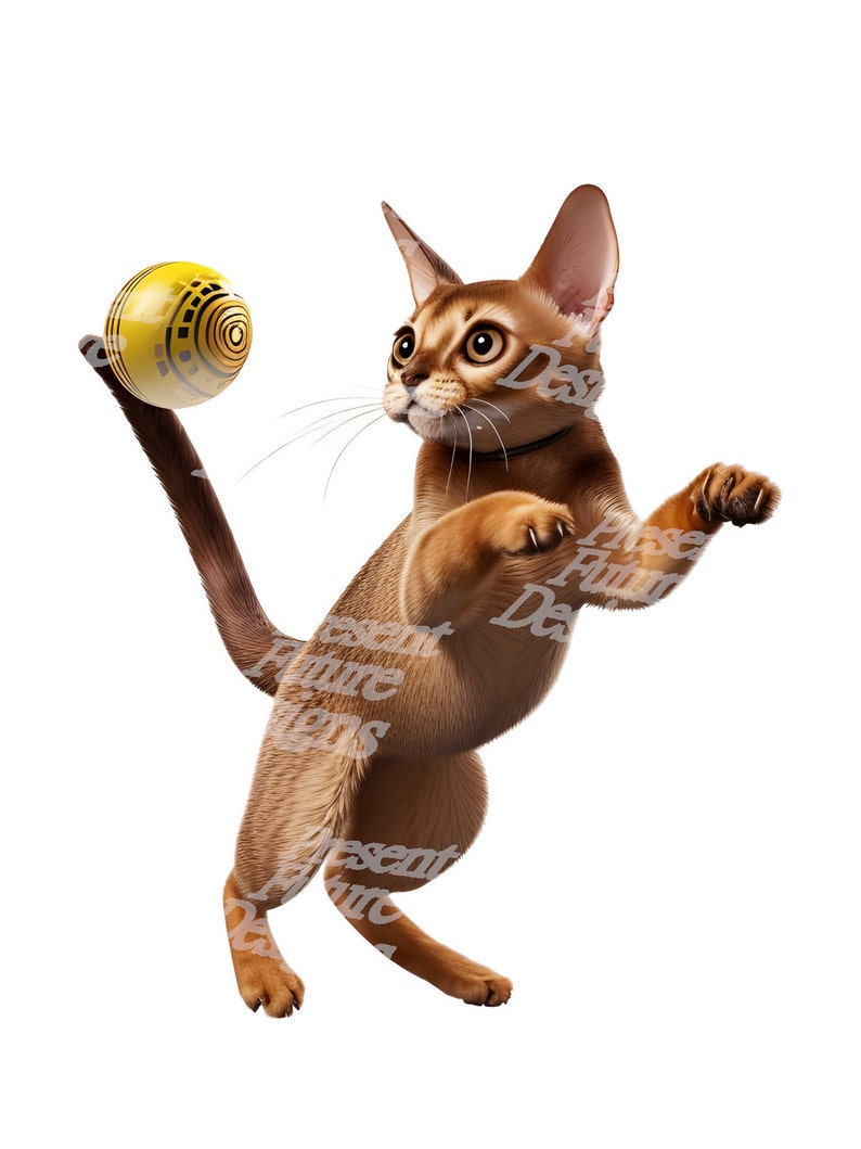 Abyssinian Cat PNG Cat AI Clipart Cat Art Abyssinian Art - Etsy