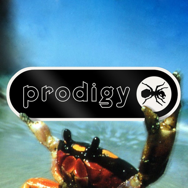 Prodigy - Etsy
